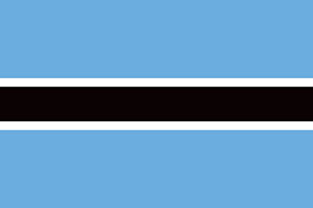 Services | African Bulk
