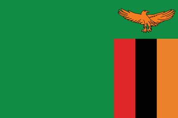 Services | African Bulk
